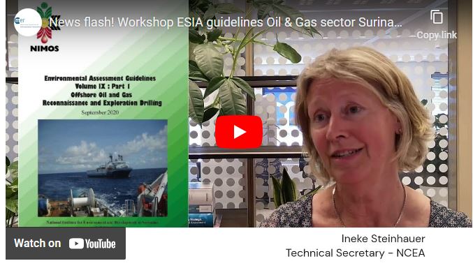 NCEA flash | ESIA guidelines oil and gas - NCEA - EN