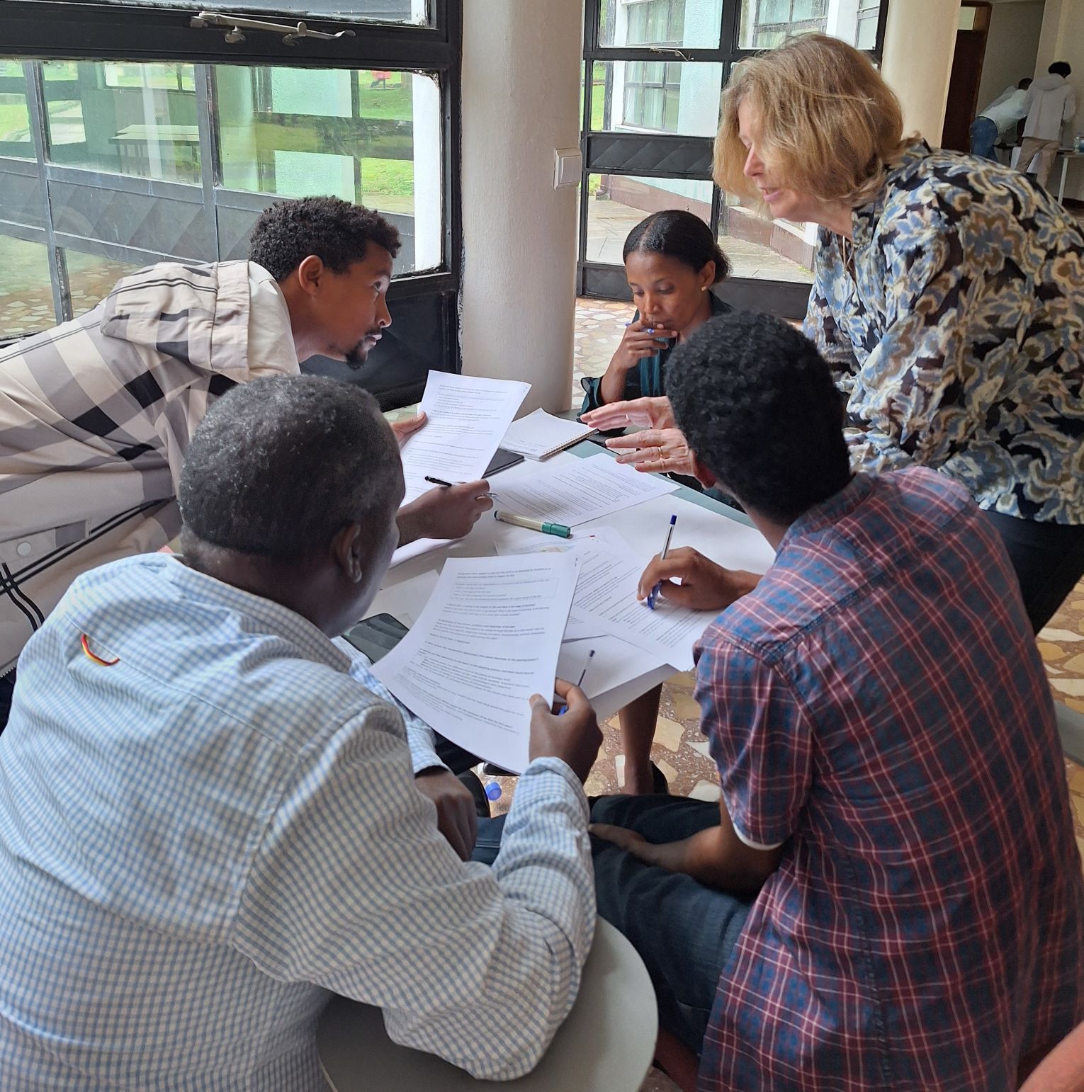 Hawassa University hosts successful SEA workshop - NCEA - EN