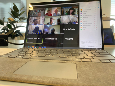 Independent advice on SESA for mining - NCEA - EN