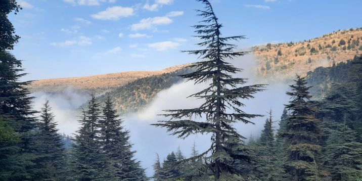 Advisory report SESA Integrated Solid Waste Management Strategy - NCEA - EN