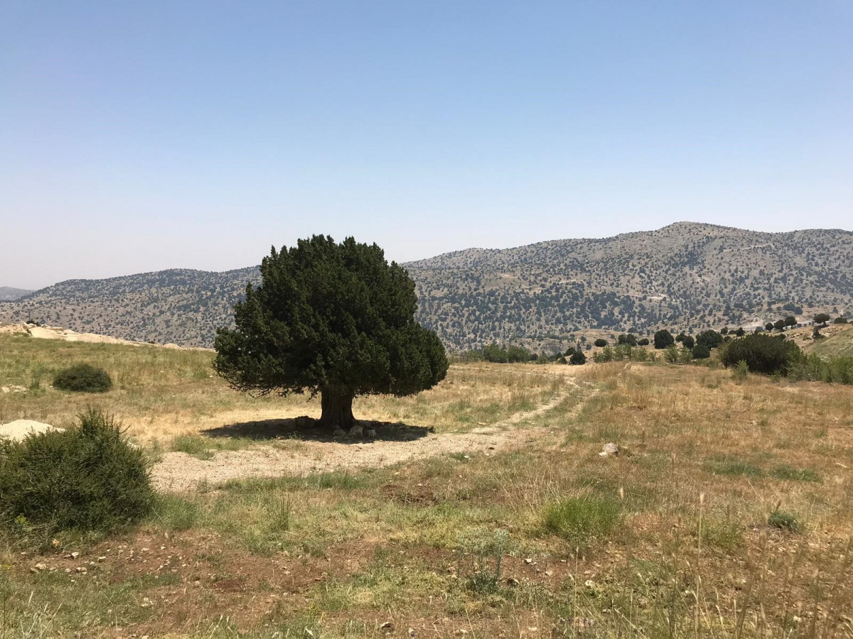 Review ESIA Wind power - NCEA - EN